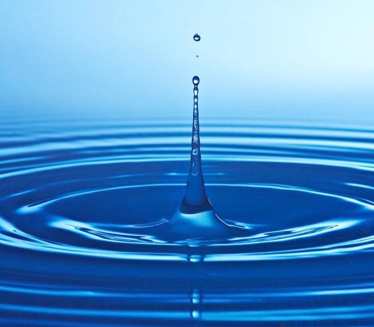 Molecular Biologist Bruce Lipton and the Science Behind Good Vibration ...